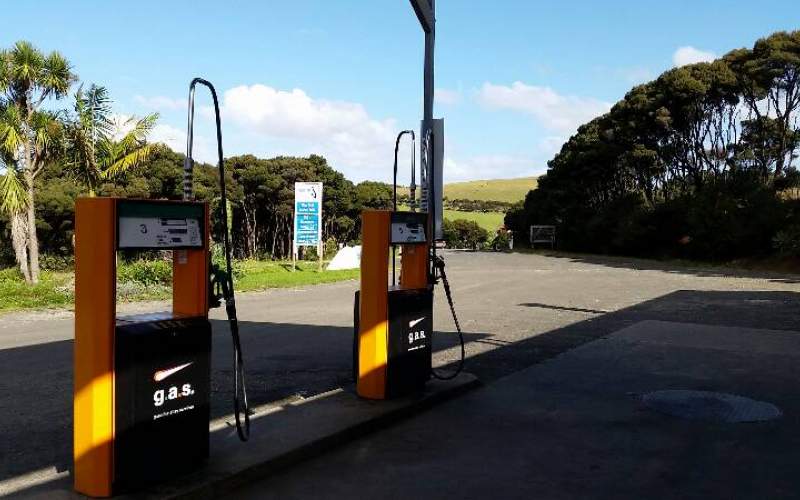 Waitiki Holiday Park | Full Service Camp | New Zealand